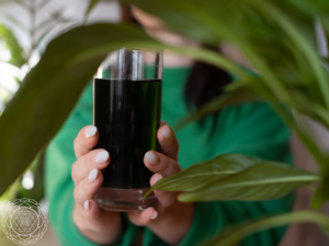 Chlorella vs Chlorophyll: What's the Difference? - Mantras and Mulberries