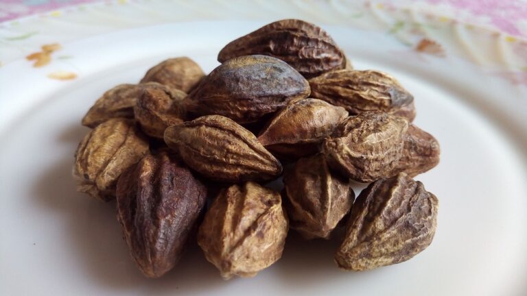 7 Mind-Blowing Health Benefits of Haritaki - Mantras and Mulberries