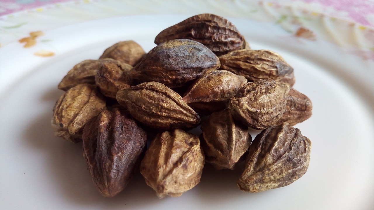 7 Mind-Blowing Health Benefits of Haritaki - Mantras and Mulberries