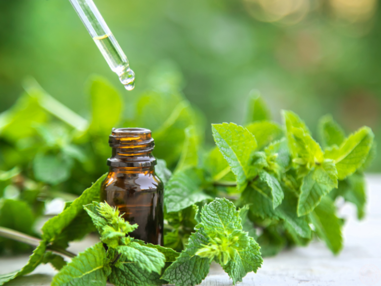 9 Invigorating Essential Oil Blends for Overcoming Fatigue - Mantras ...