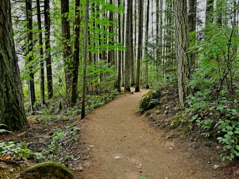 17 Surprising Health Benefits of Walking Every Day - Mantras and Mulberries