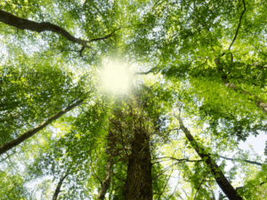 What Is a Lightworker? 11 Signs You Might Be One - Mantras and Mulberries